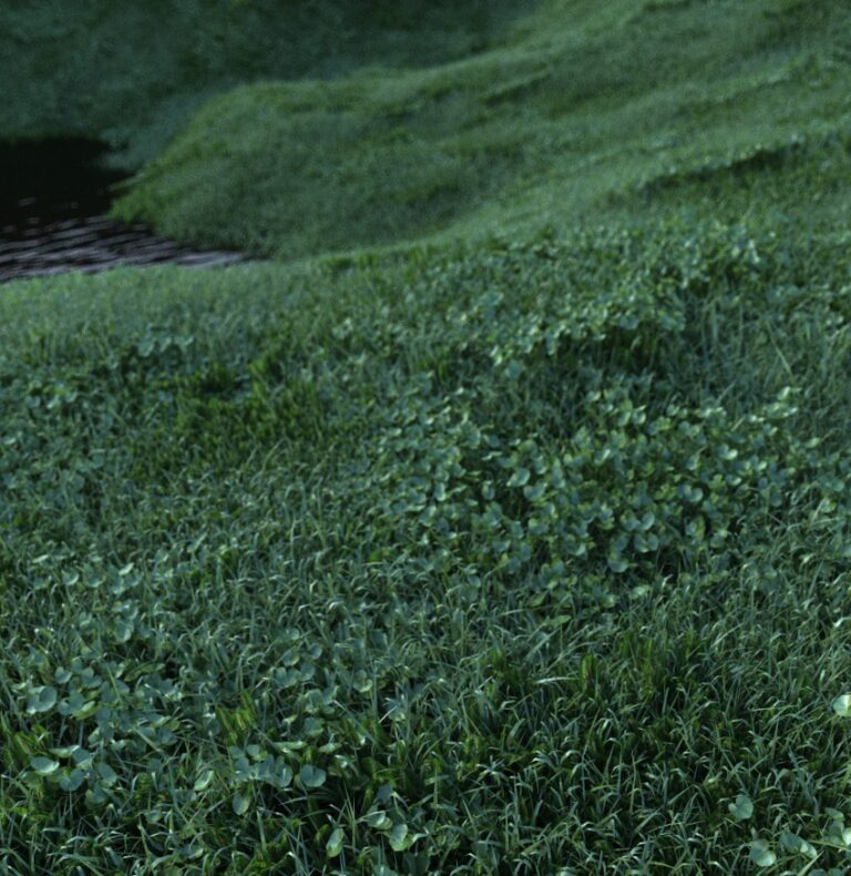 Grass Free 3D Scenes 3D Plants