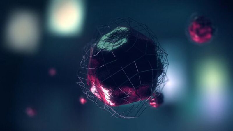 Some Useful Camera Morph Tutorials