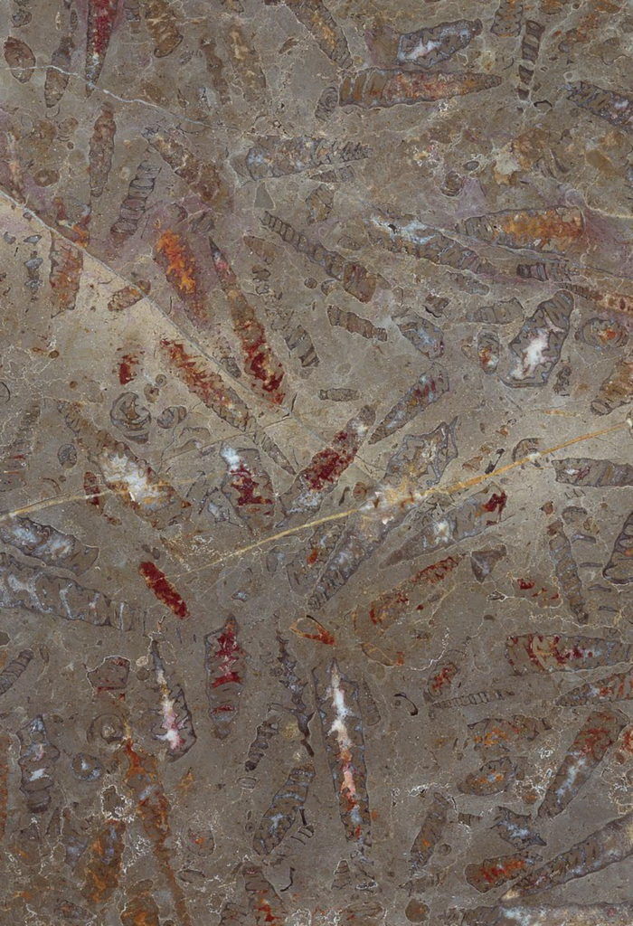 Marble Textures For 3D - Free C4D Models