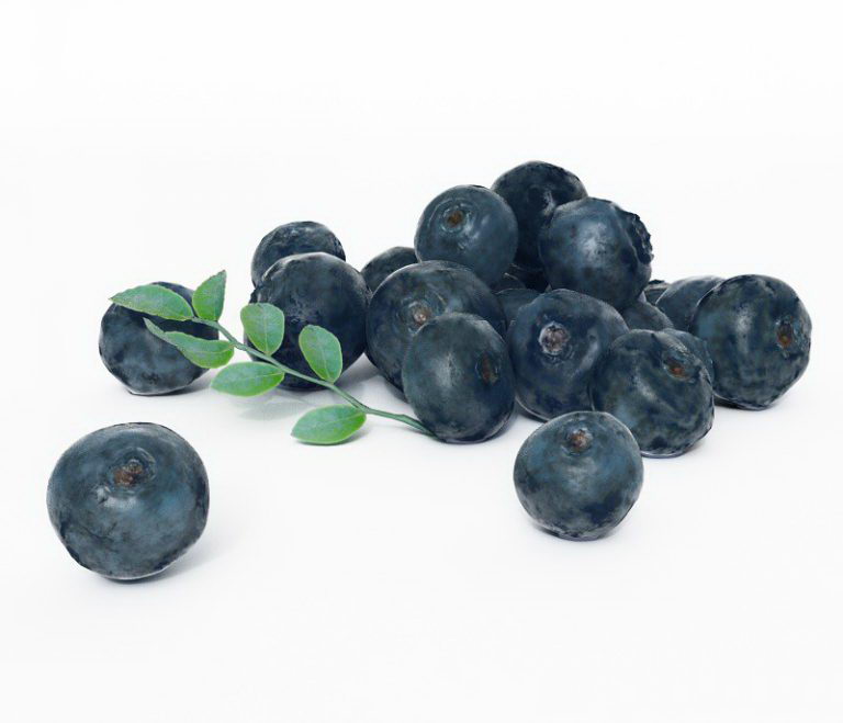 Blueberries 3D Model Greengrocery