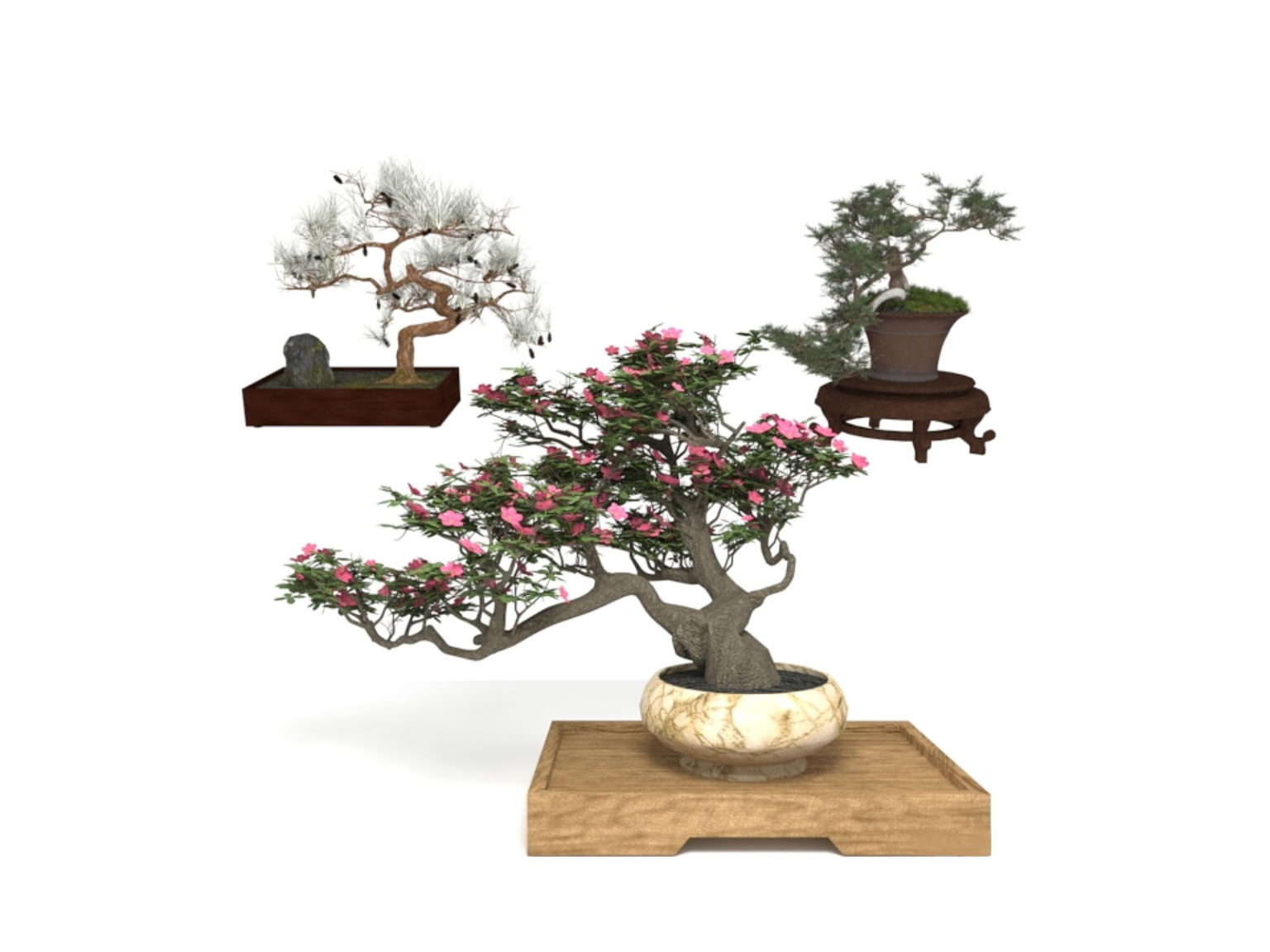 Bonsai Decor Set 3D Model 3D Plants