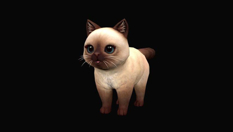 Cute Cat Free 3D Model Animals