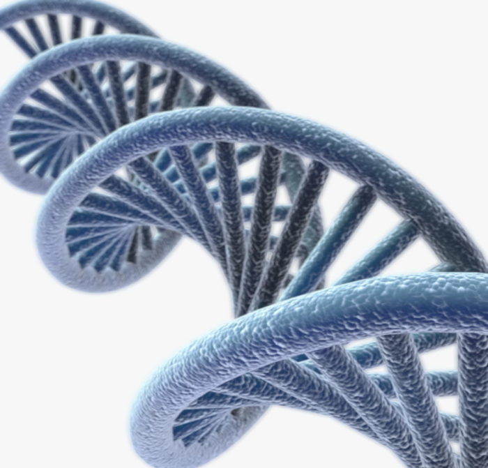 Dna Free 3D Model Other Objects