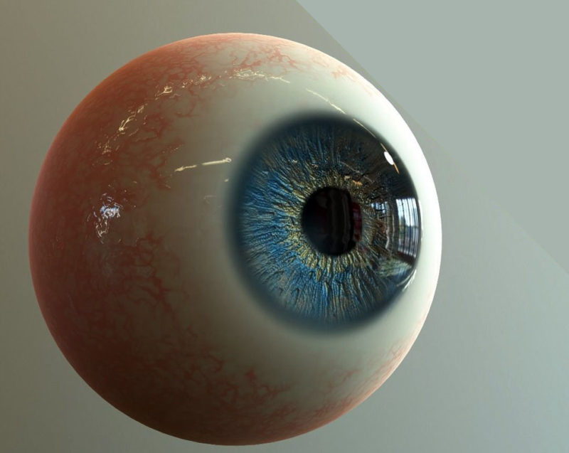 Eye Generator 3D Model Other Objects