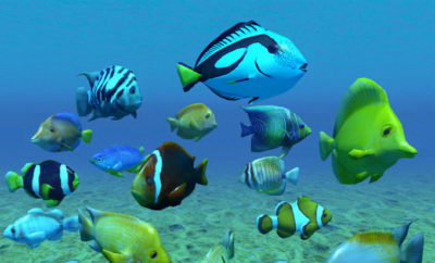 Free Fish 3D Models Pack Animals