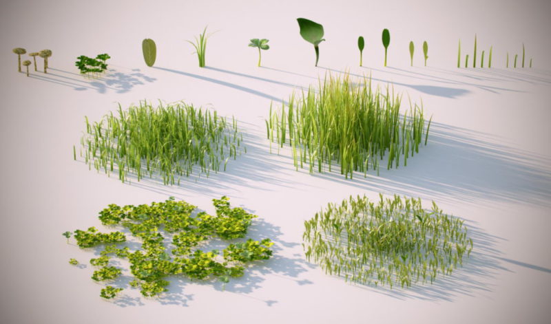 Free Plant Pack 3D Models Garden plants