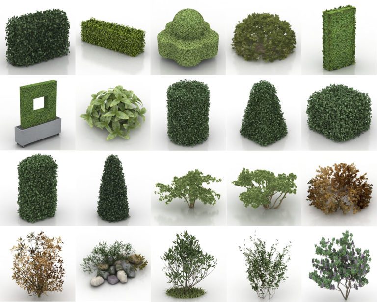 Garden 20 Different Bush Collection 3D Plants