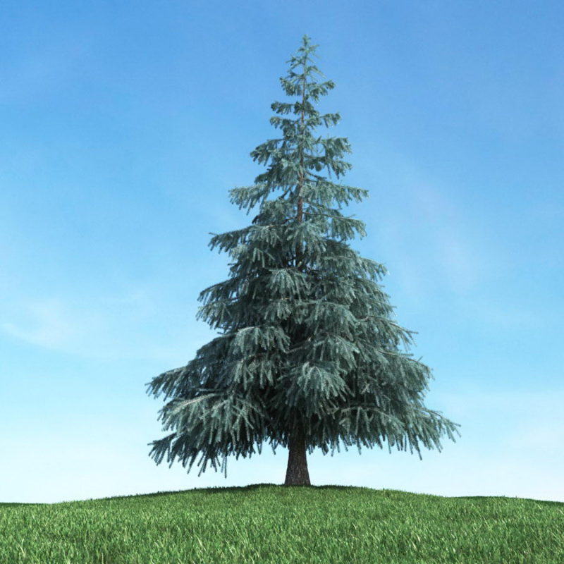 High quality Tree 3D Model Garden plants