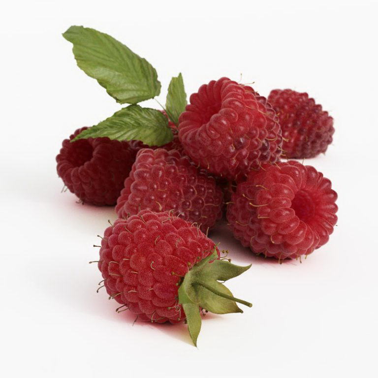 Raspberry 3D Model Greengrocery