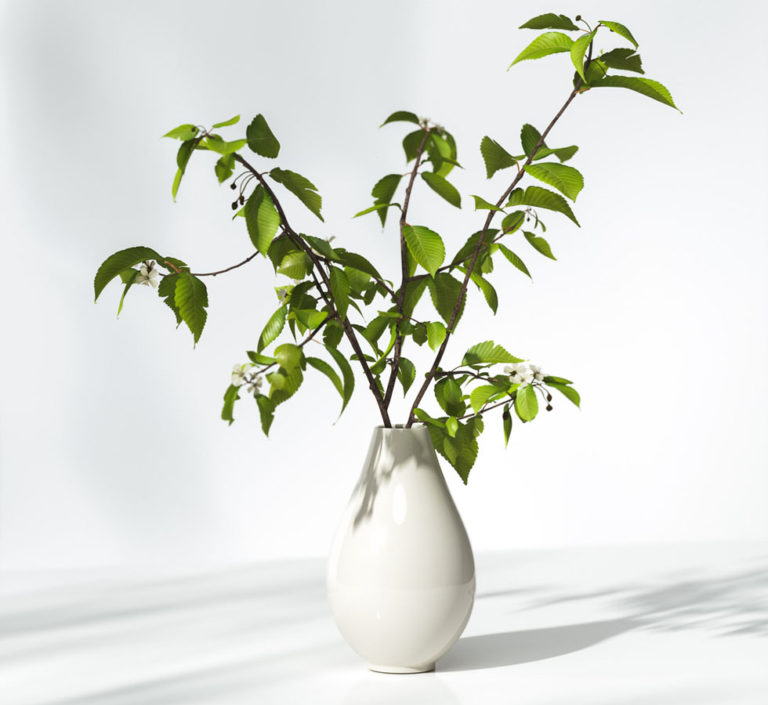Tree Branches in Vase Free 3D Model House Plants