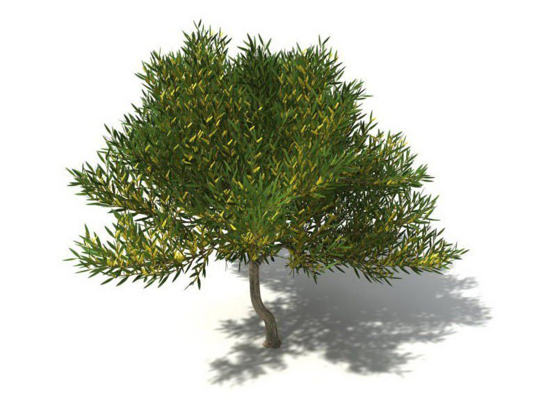 Free maya files 3d models download