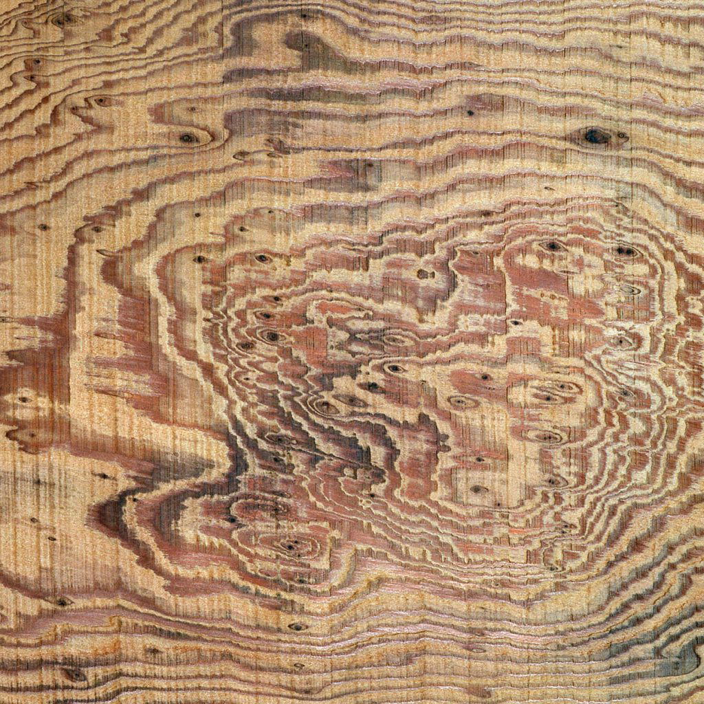 Wooden Textures For 3D - C4D Download